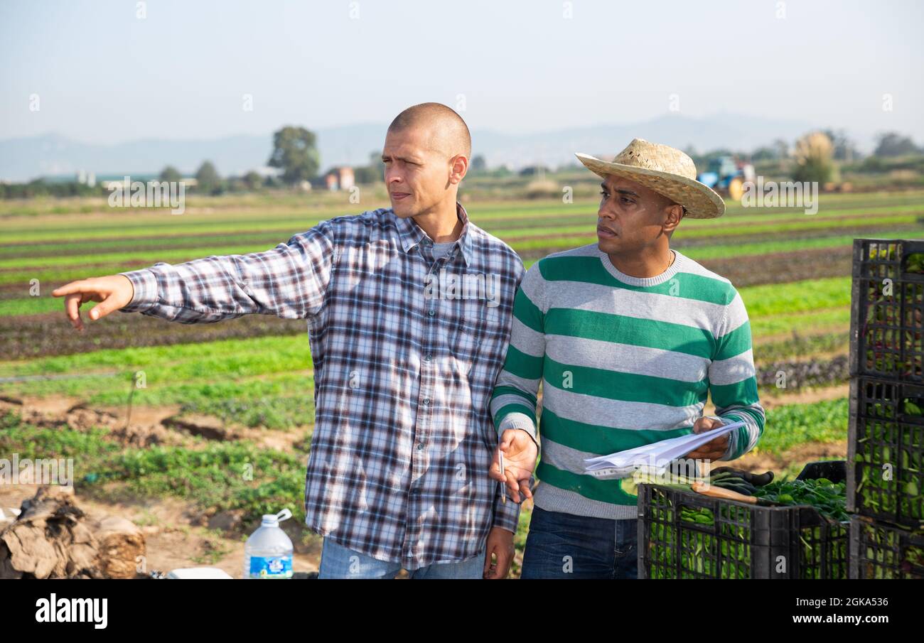 Male farmers with papers talking on farm Stock Photo - Alamy