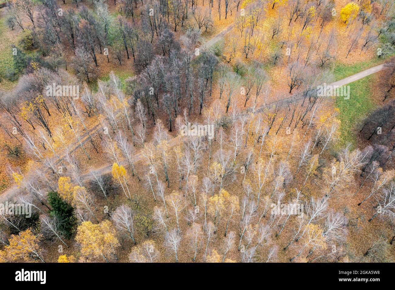 aerial view of colorful park landscape with autumn trees and ground ...