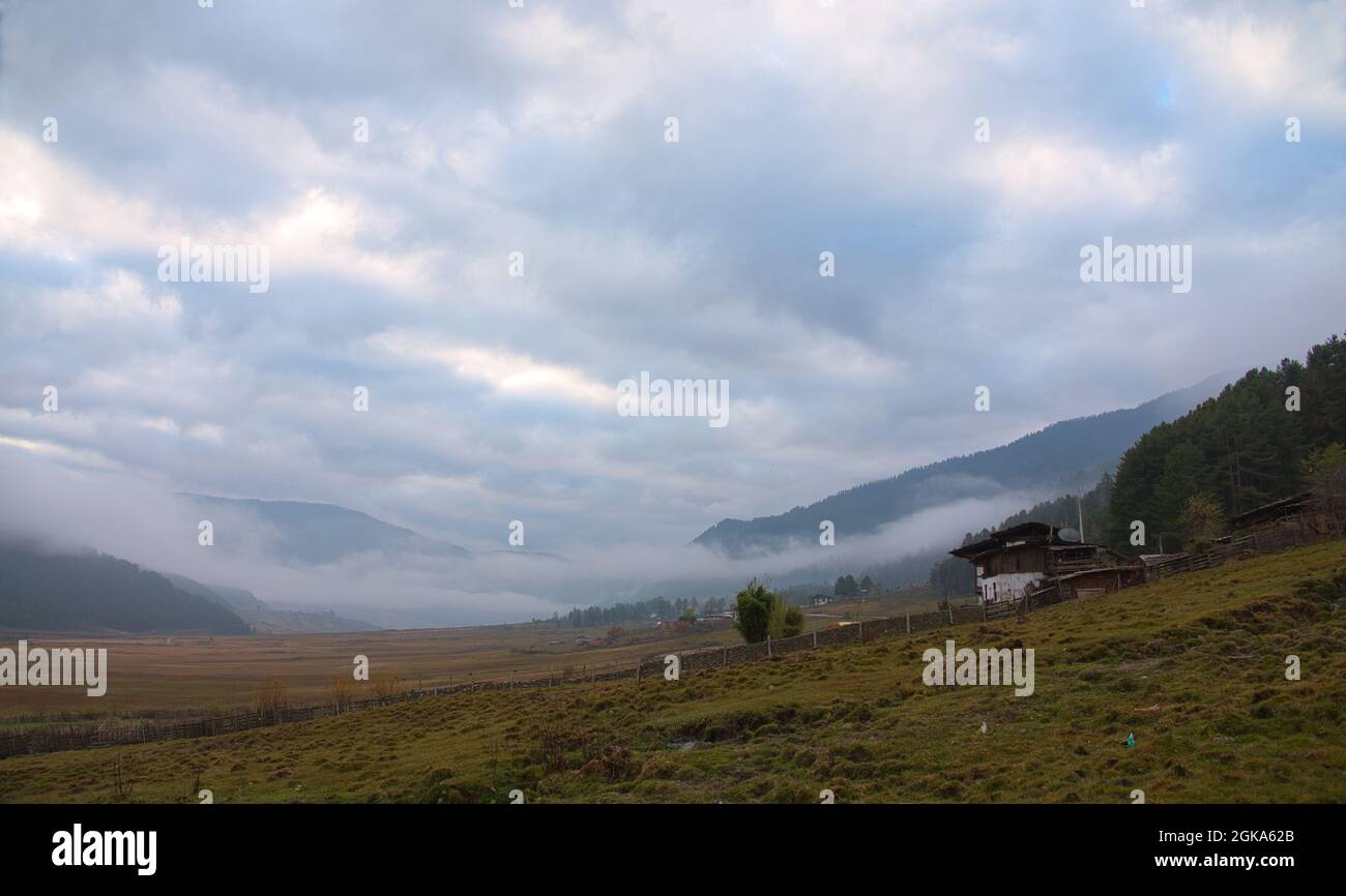 In the evening, the fog surrounds the trees, houses and mountains in ...