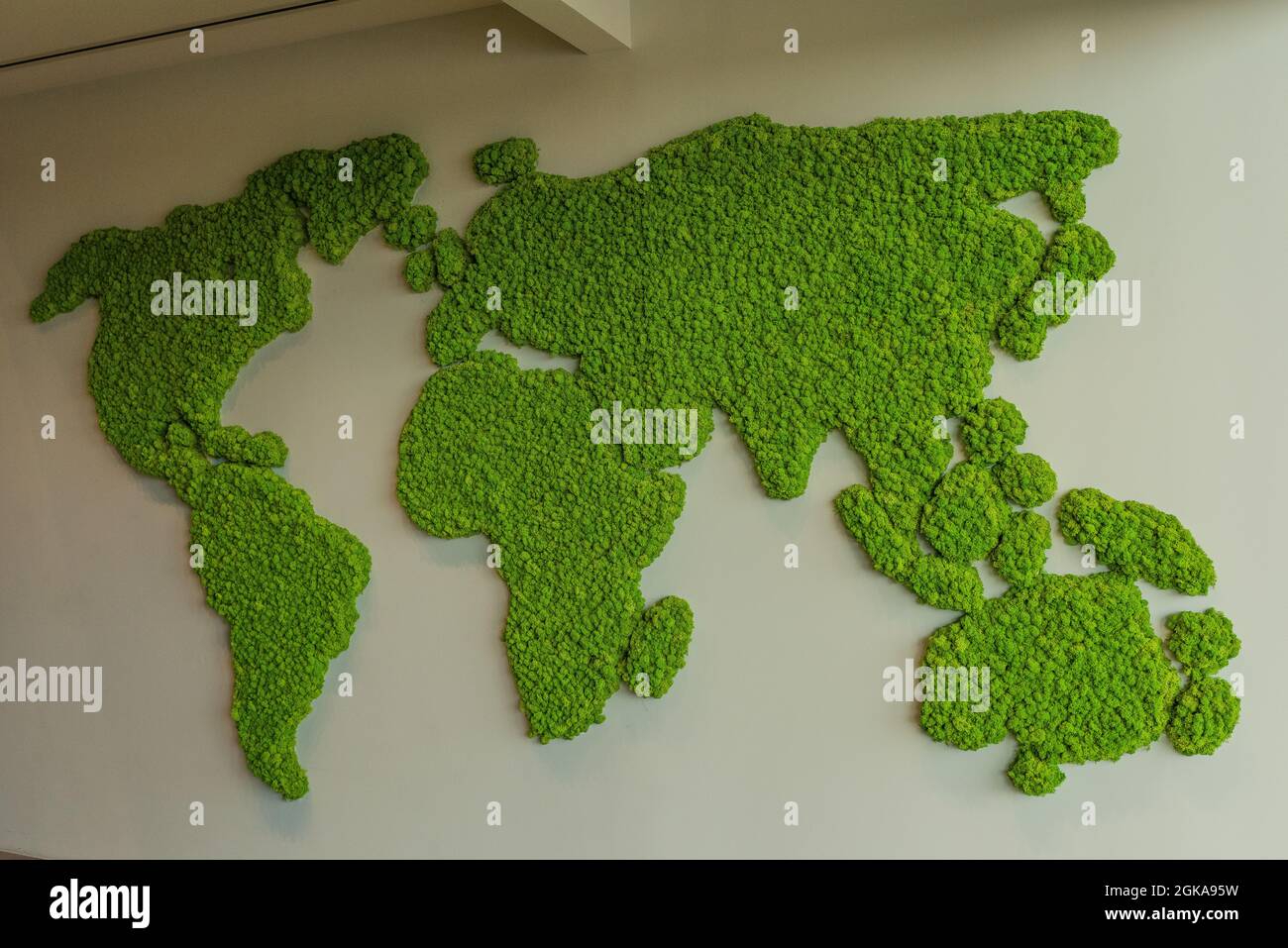 Grass map of the world glued on the wall Stock Photo - Alamy