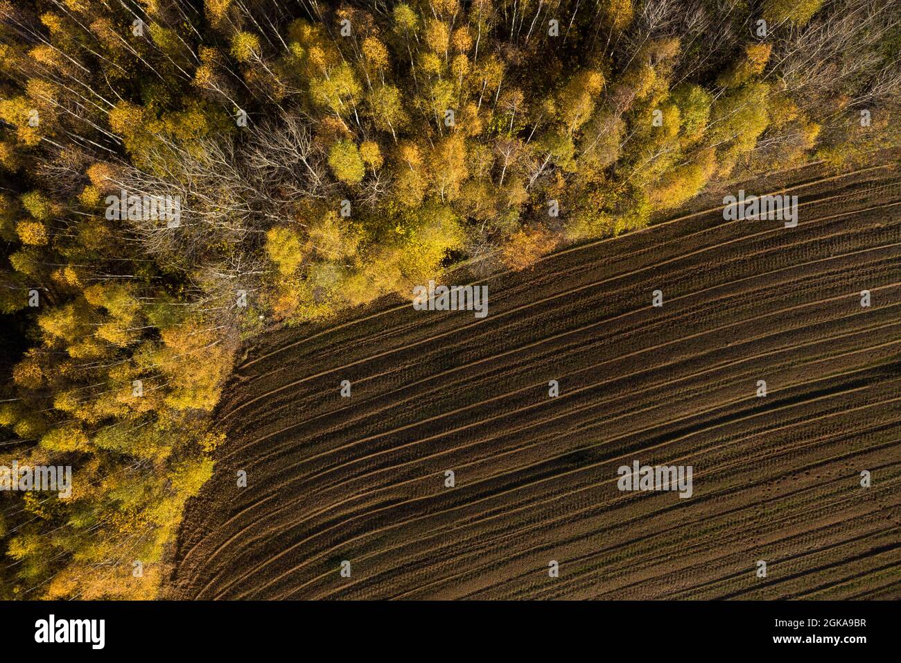 Deforestation rainforest erosion hi-res stock photography and images ...