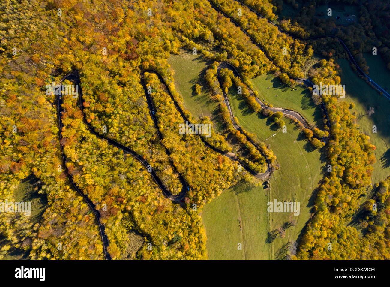 Aerial above view of epic colorful autumn forest winding road, serpentine, drone point of view ...