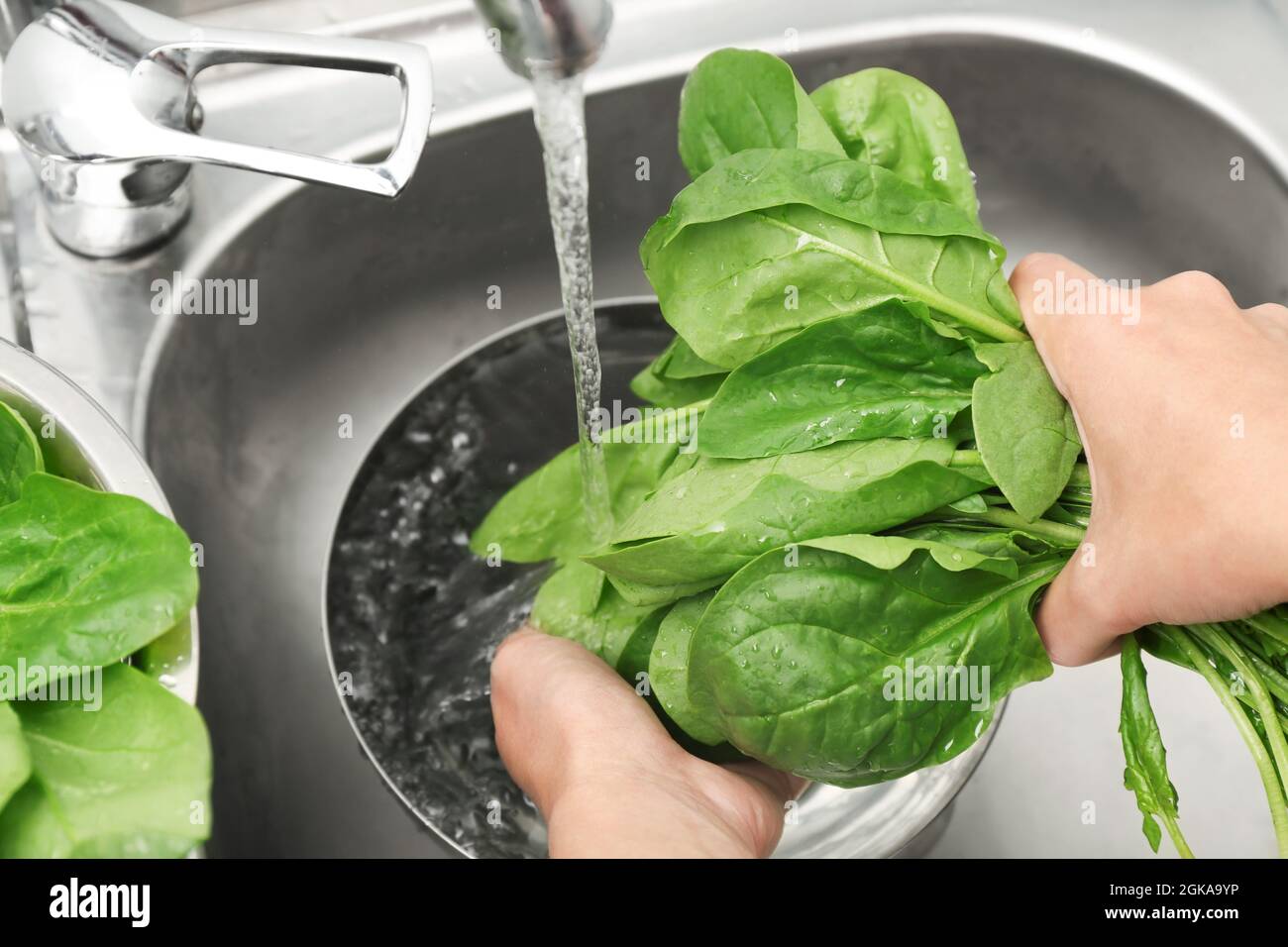 Woman washing spinach in sink Stock Photo - Alamy