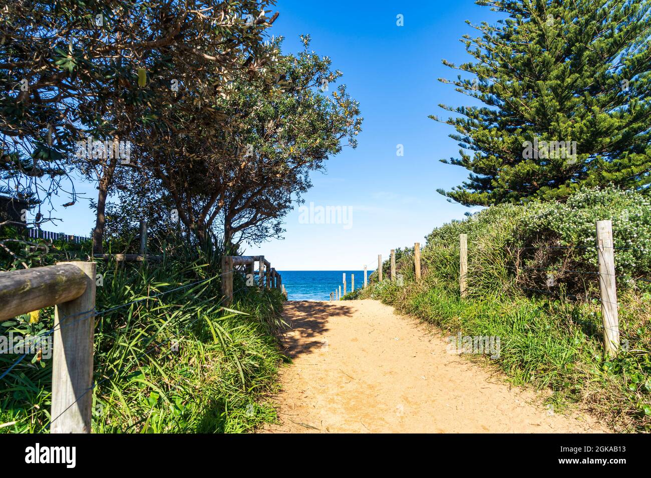 Sandy track to beach with wooden posts and distant ocean Stock Photo ...