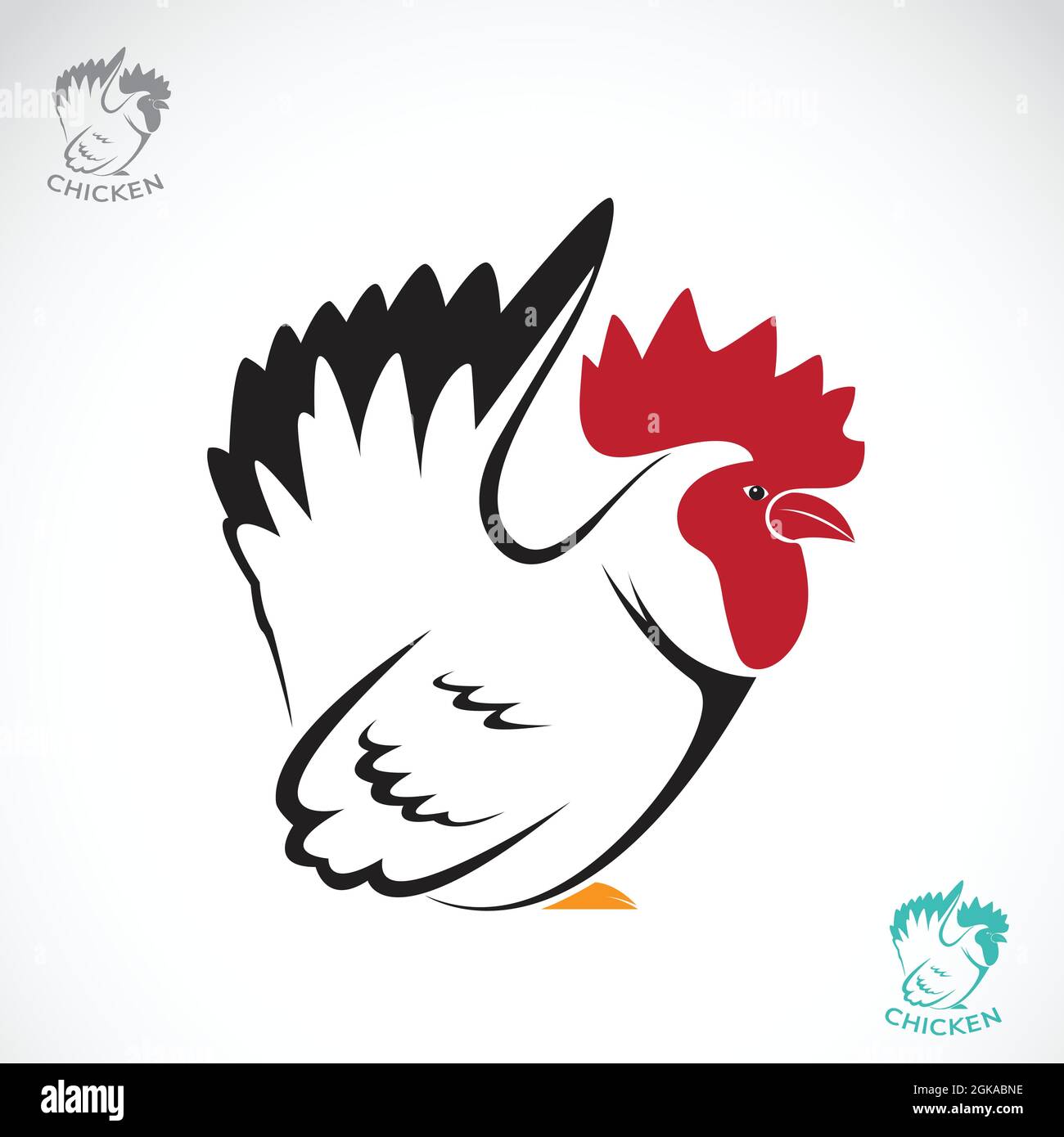 Vector image of a chicken on white background. Easy editable layered ...
