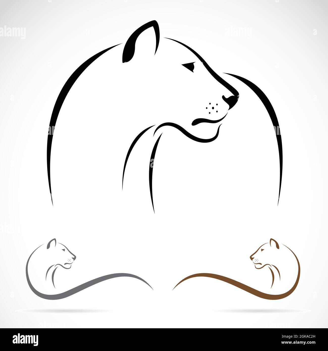 Vector image of a female lion on white background. Easy editable ...