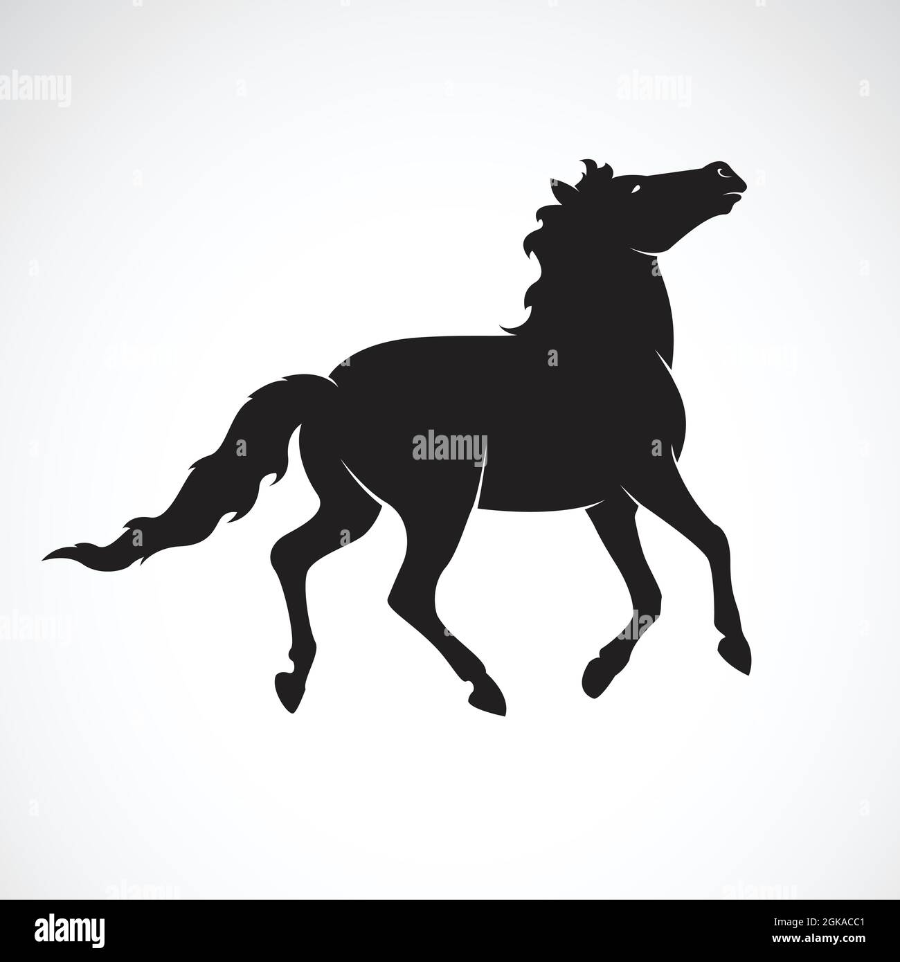 Vector of a horse isolated on white background. Wild Animals. Easy ...