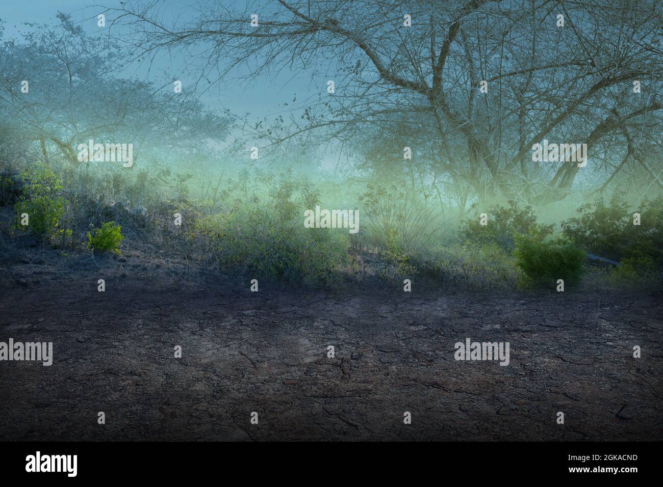 Field with the dramatic scene background Stock Photo - Alamy