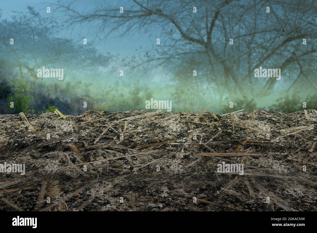 Field with the dramatic scene background Stock Photo - Alamy