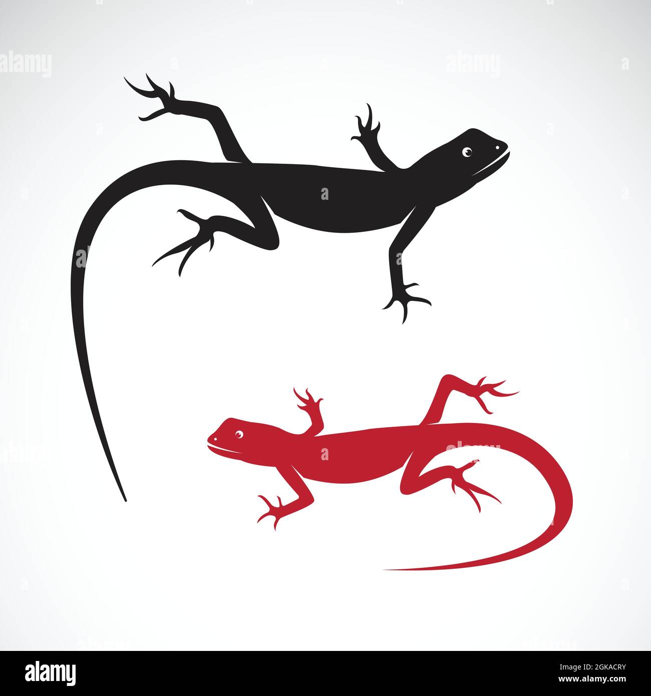 Red lizard skin reptile Stock Vector Images - Alamy