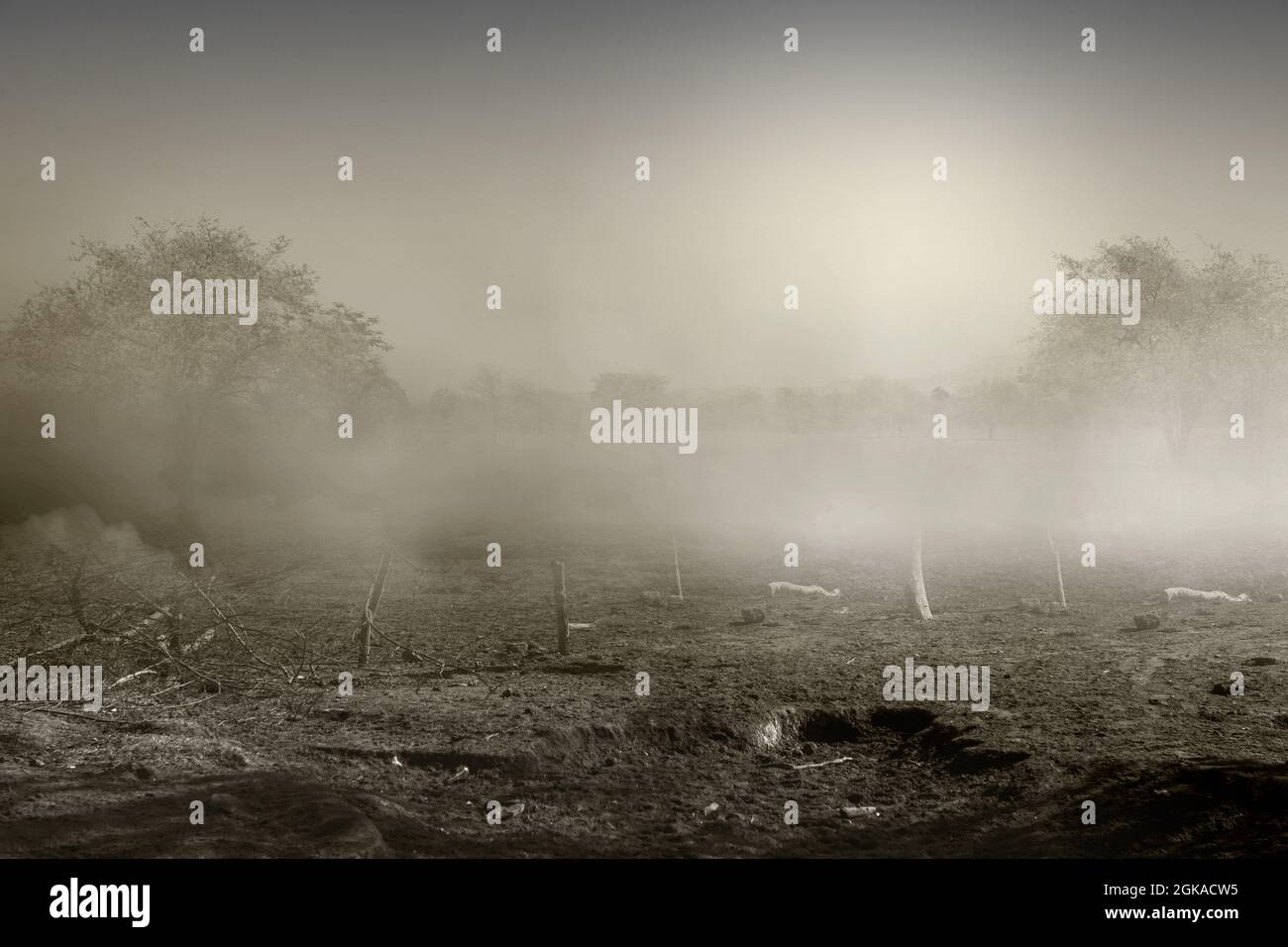 Field with the dramatic scene background Stock Photo - Alamy