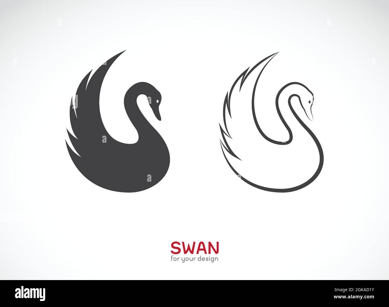Vector of two swan design on white background. Wild Animals. Bird. Easy ...