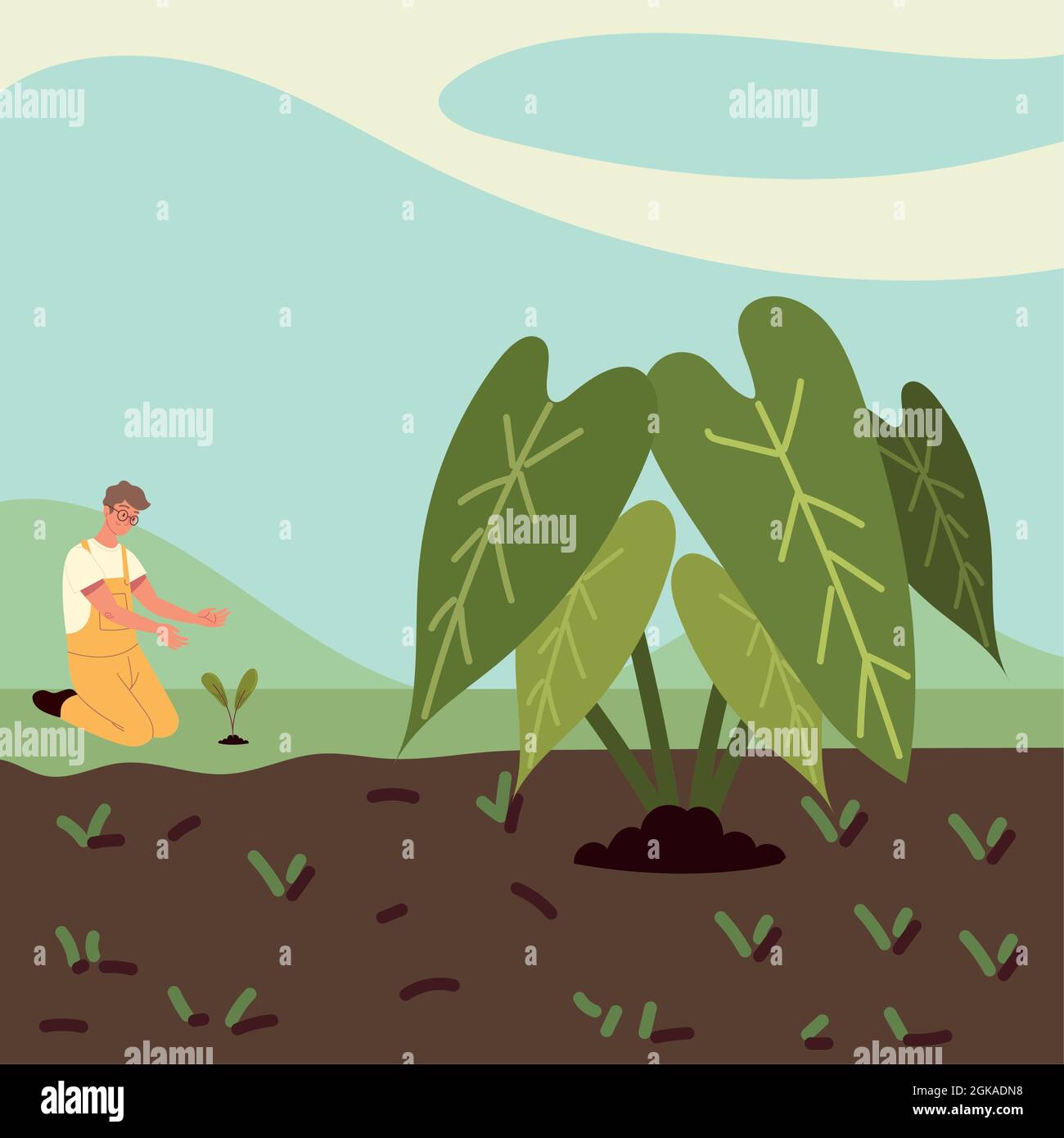Field of sprouts Stock Vector Images - Alamy