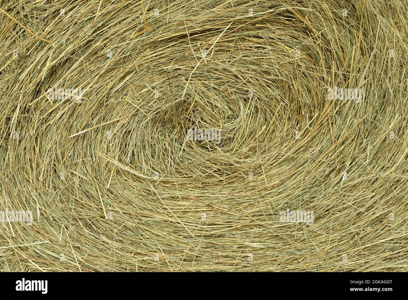 Stack freshly cut hay hi-res stock photography and images - Alamy