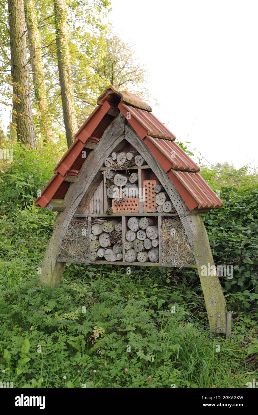 Bug hotel straw hi-res stock photography and images - Alamy