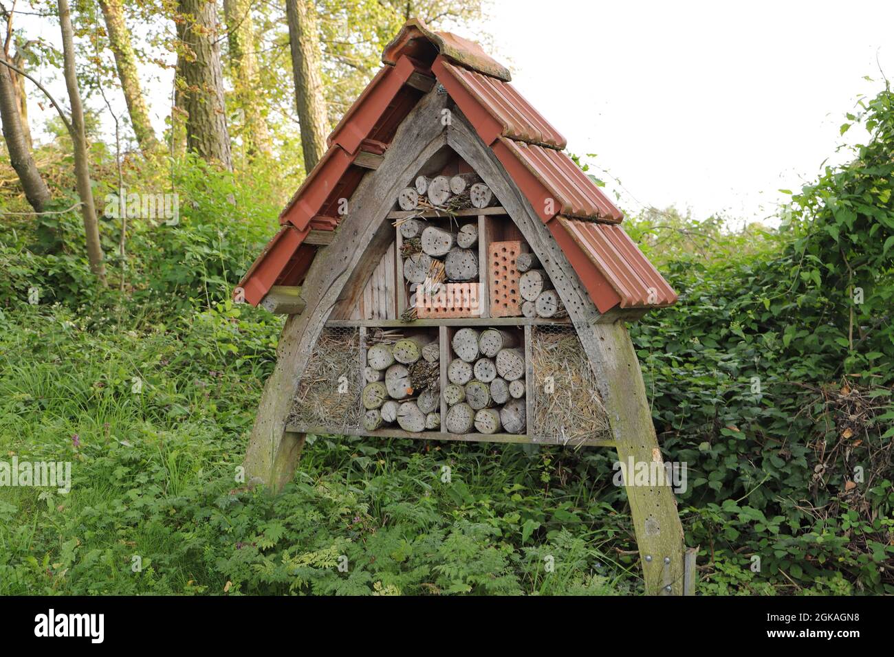 Bug hotel straw hi-res stock photography and images - Alamy