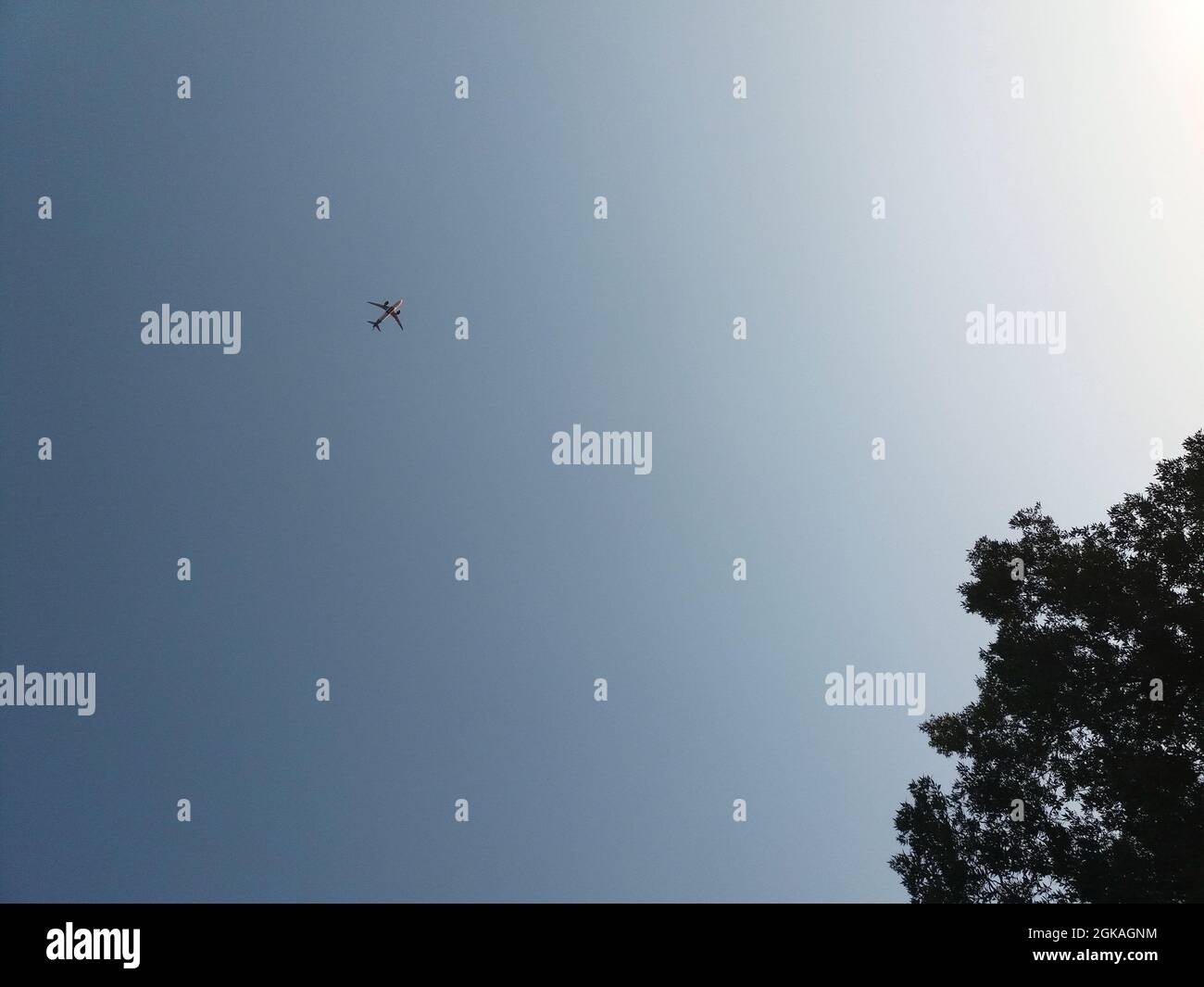 Sunset time. Airplane flying. Trees Leaves. Clear Sky Stock Photo - Alamy