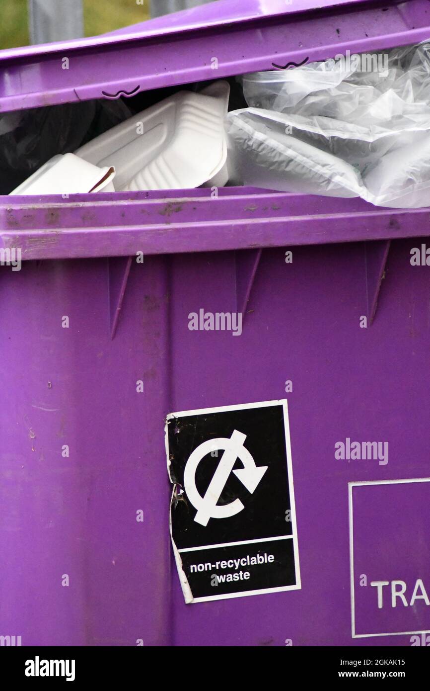 A purple large waste overflowing with paper and plastic Stock Photo - Alamy