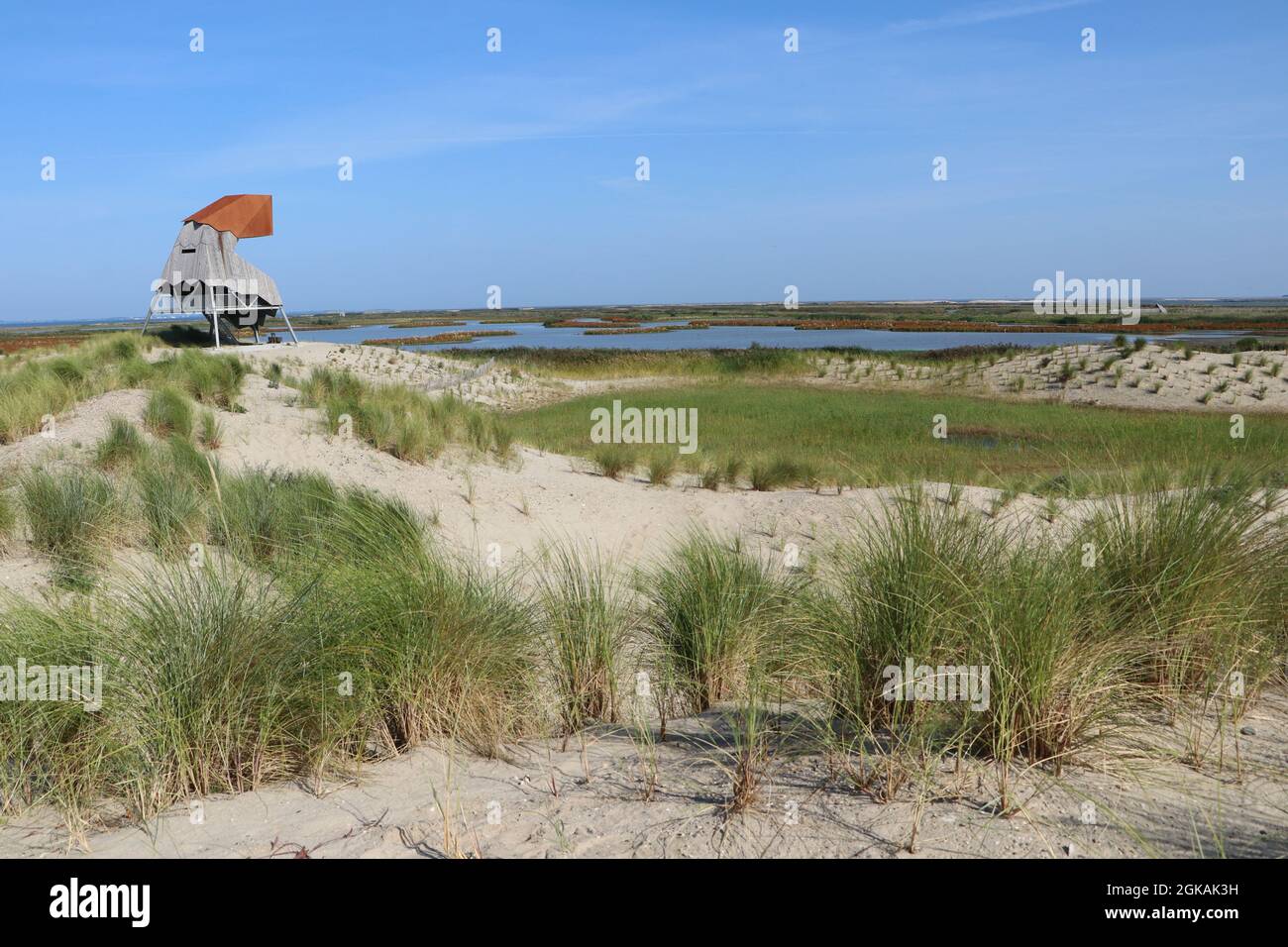 Landscape with bird watching tower overlooking marshes on artificial ...