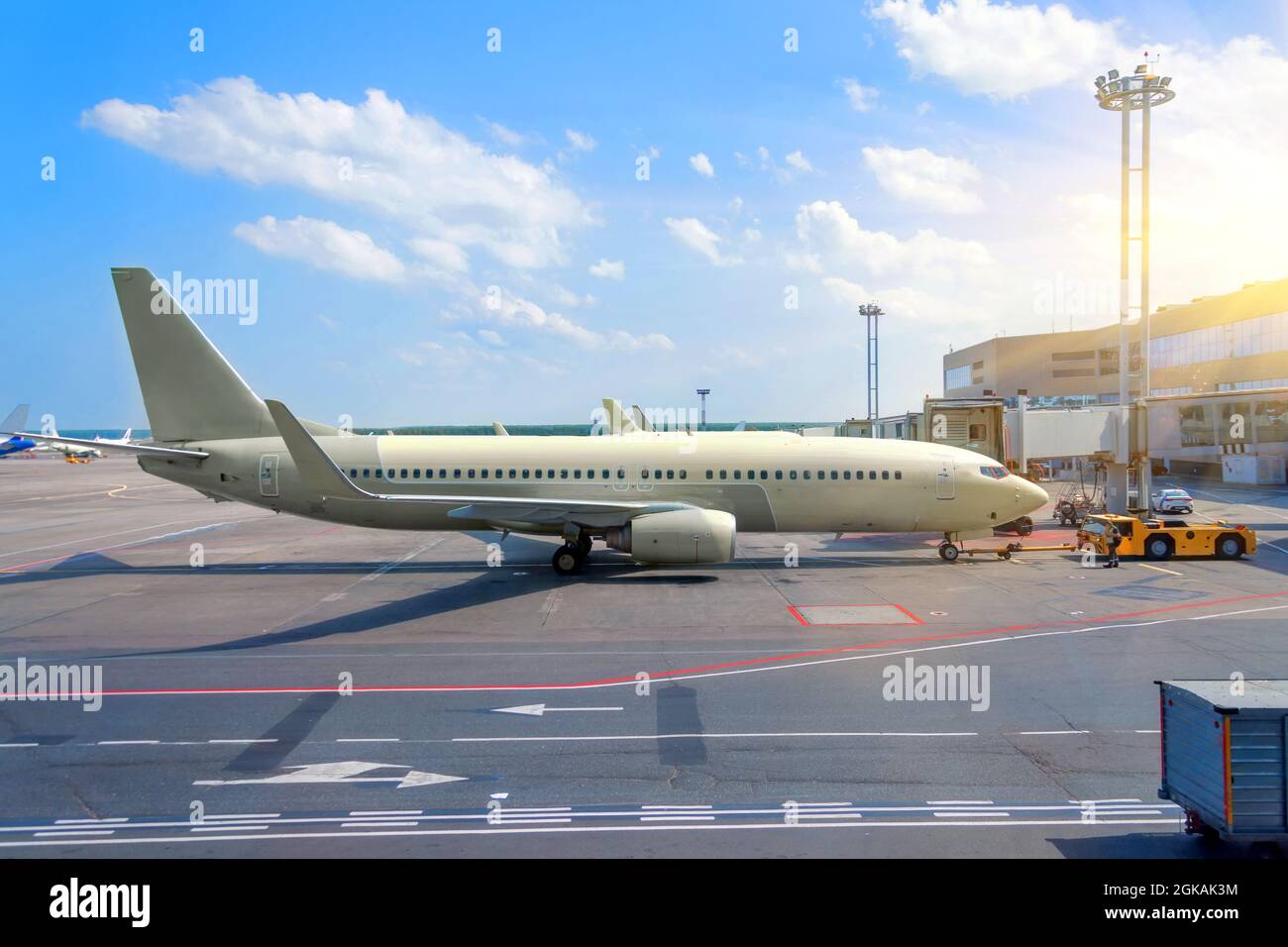Medium-haul passenger aircraft at the terminal of the airport building ...