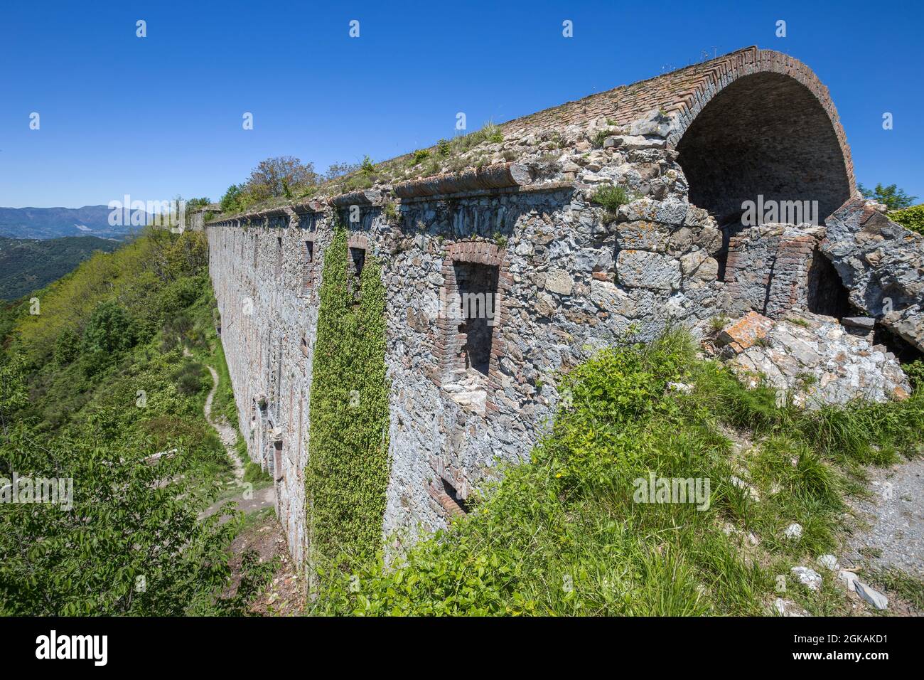 Forte ratti hi-res stock photography and images - Alamy