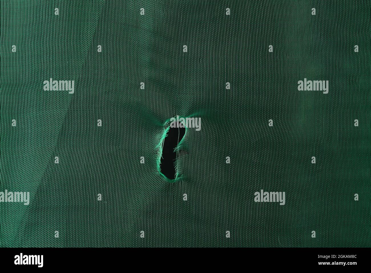 Torn screen door hi-res stock photography and images - Alamy