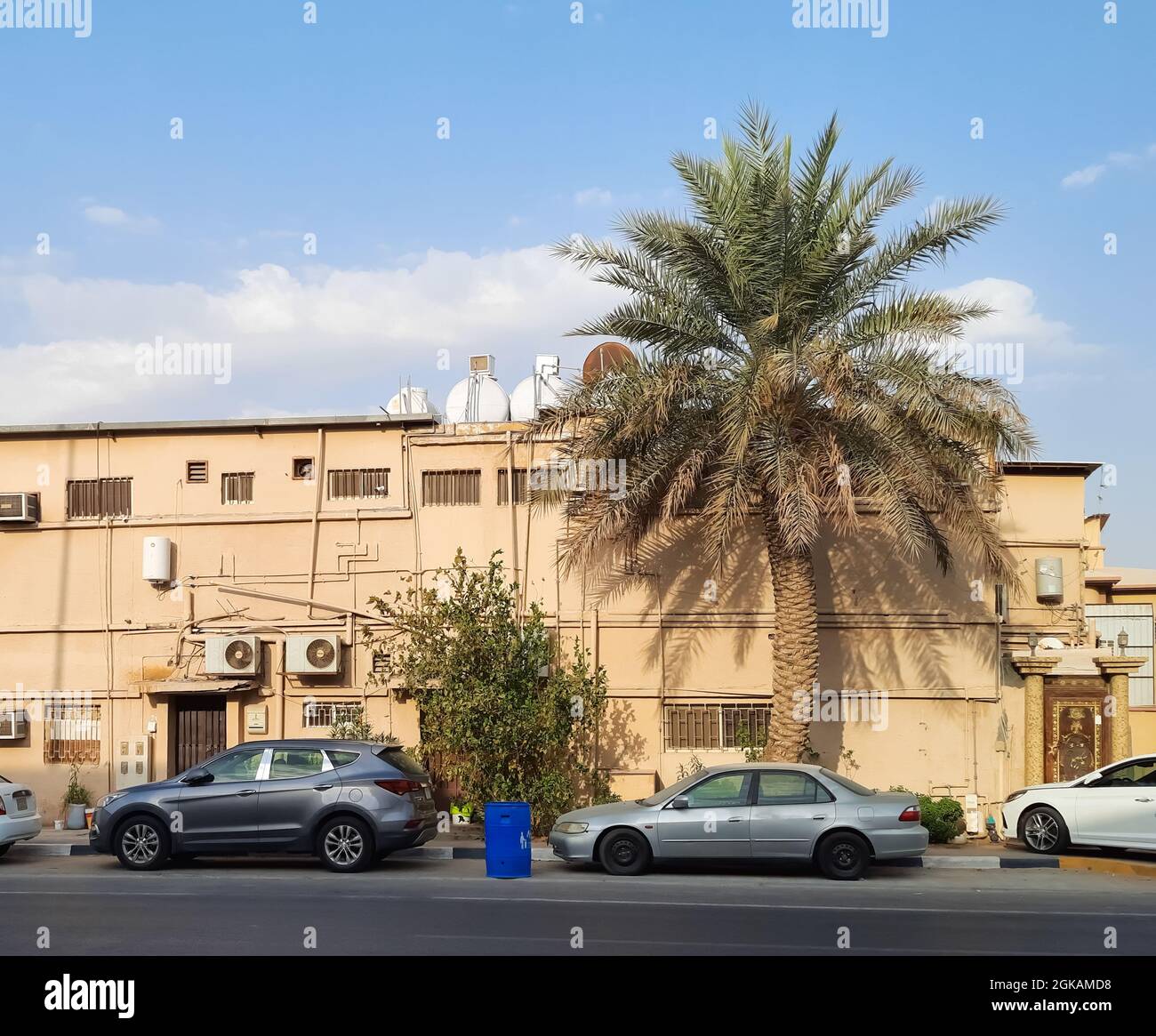 Al hasa palm tree hi-res stock photography and images - Alamy