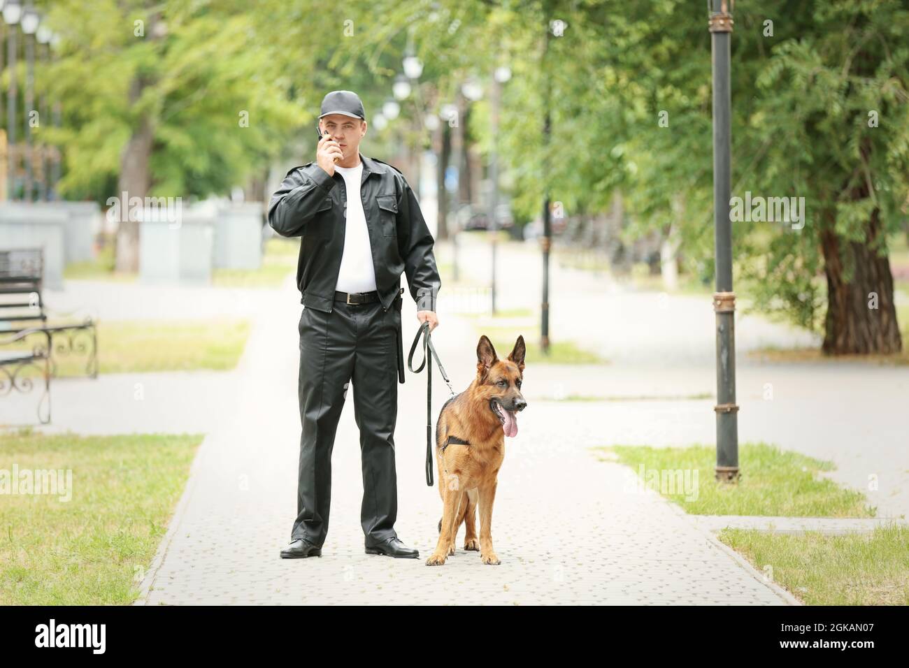Security guard with dog in park Stock Photo - Alamy