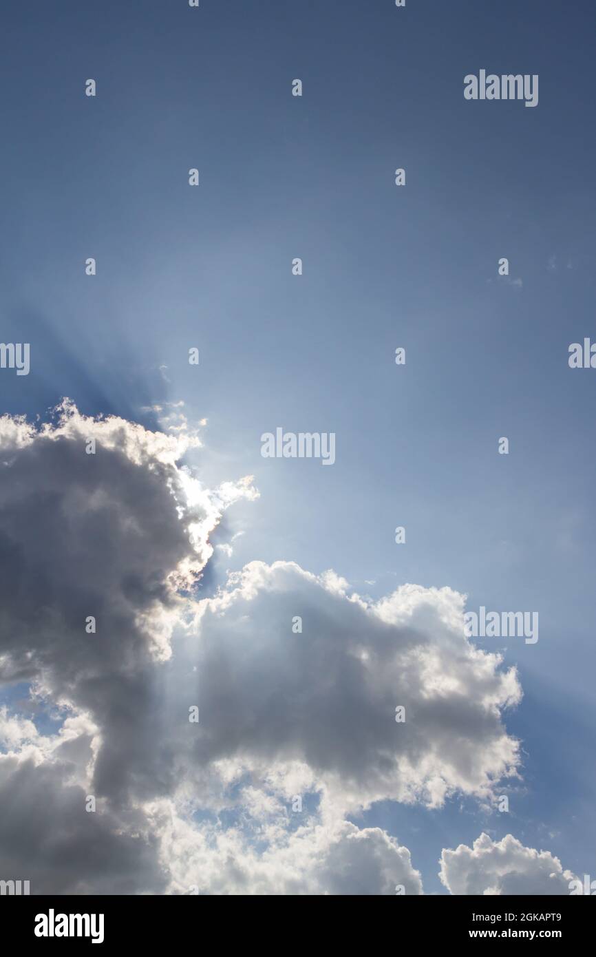 Sun rays look through hi-res stock photography and images - Alamy
