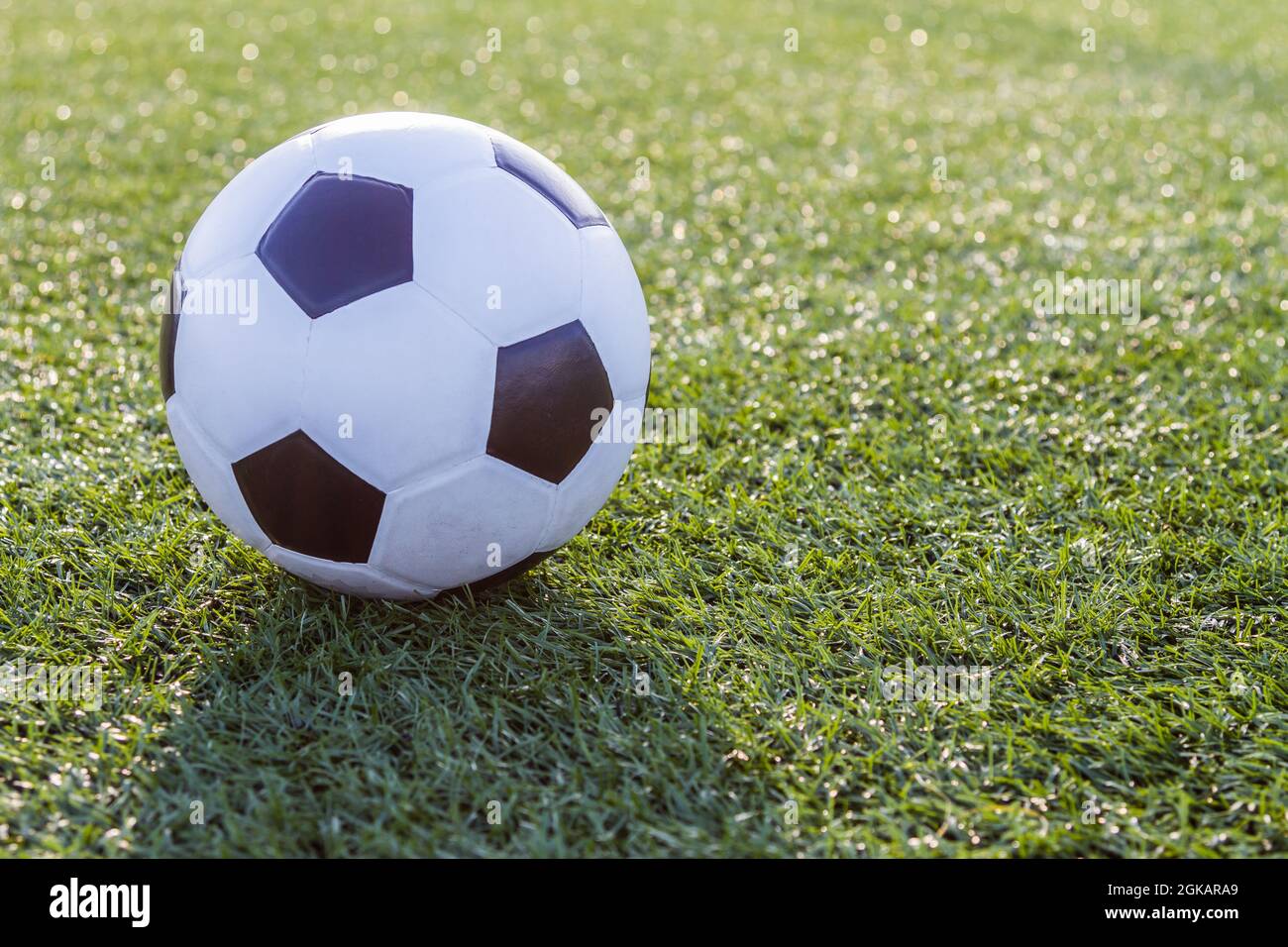 Soccer football on green grass background Stock Photo - Alamy