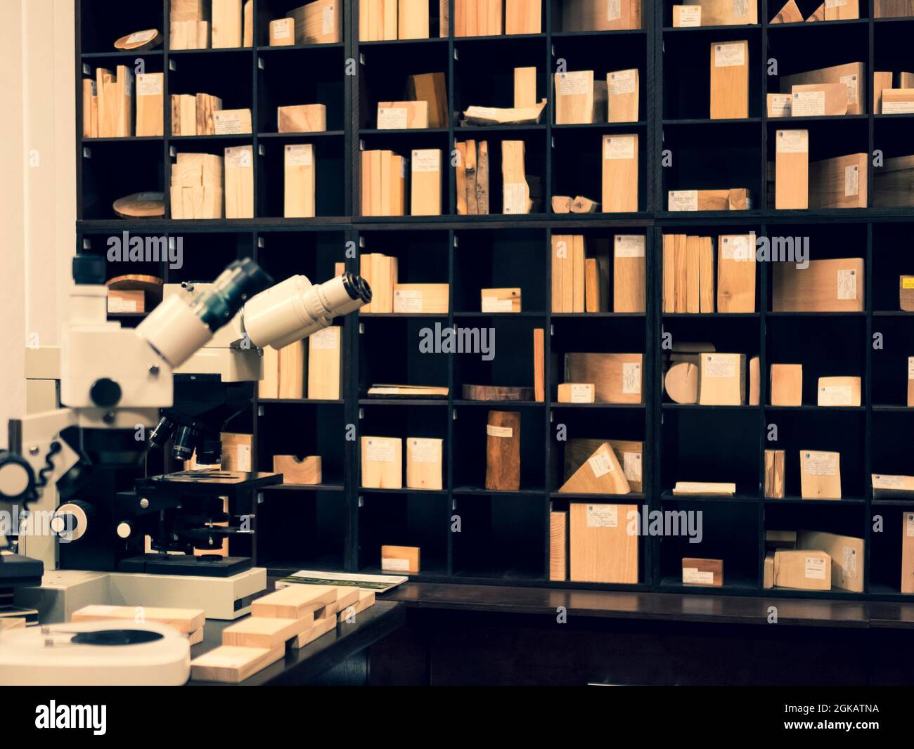 A lot of wood samples on the shelves and two microscopes for studying ...
