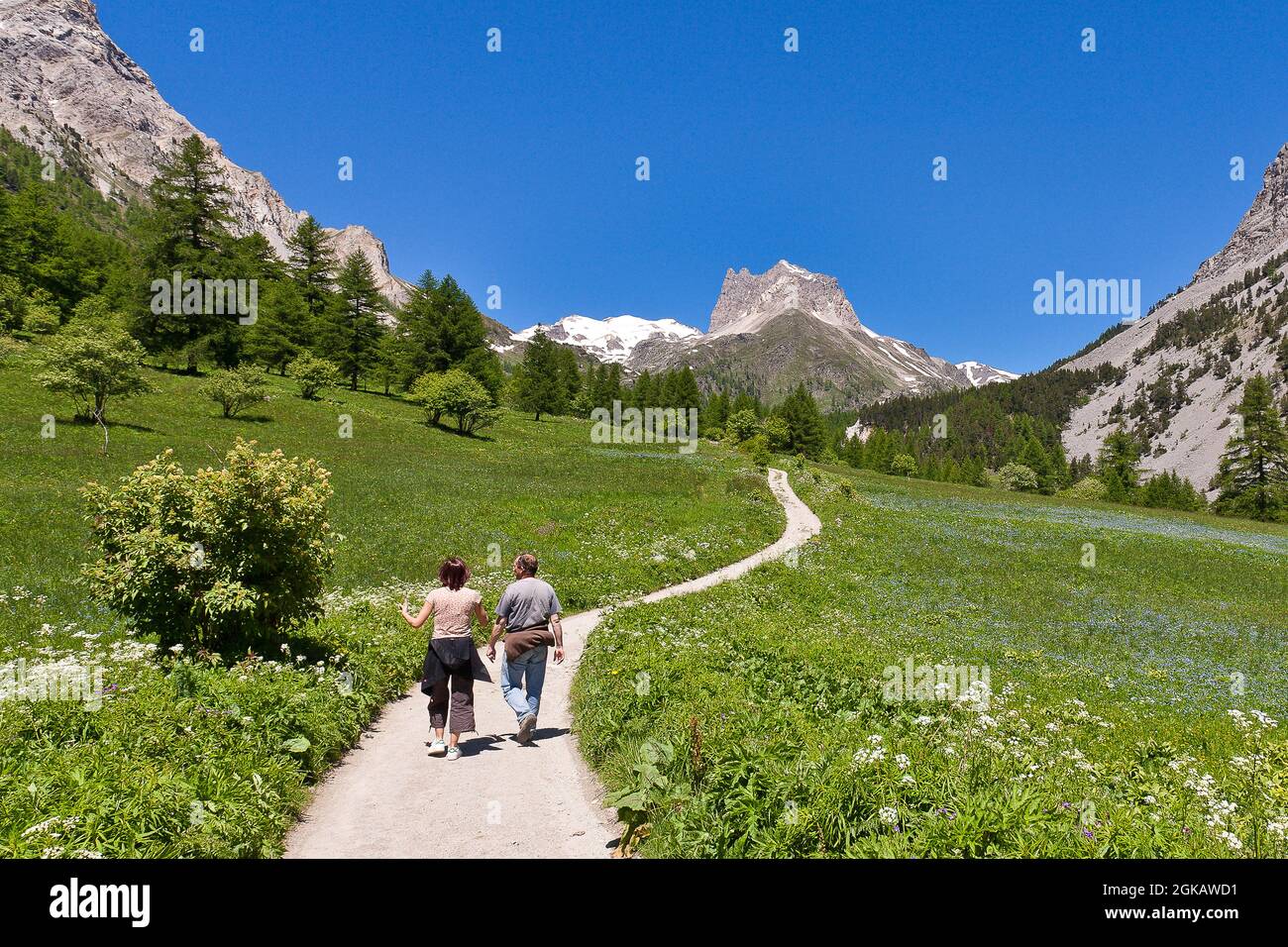 France. Hautes-Alpes (05) Nevache, Etroite Valley and the Mont Thabor ...