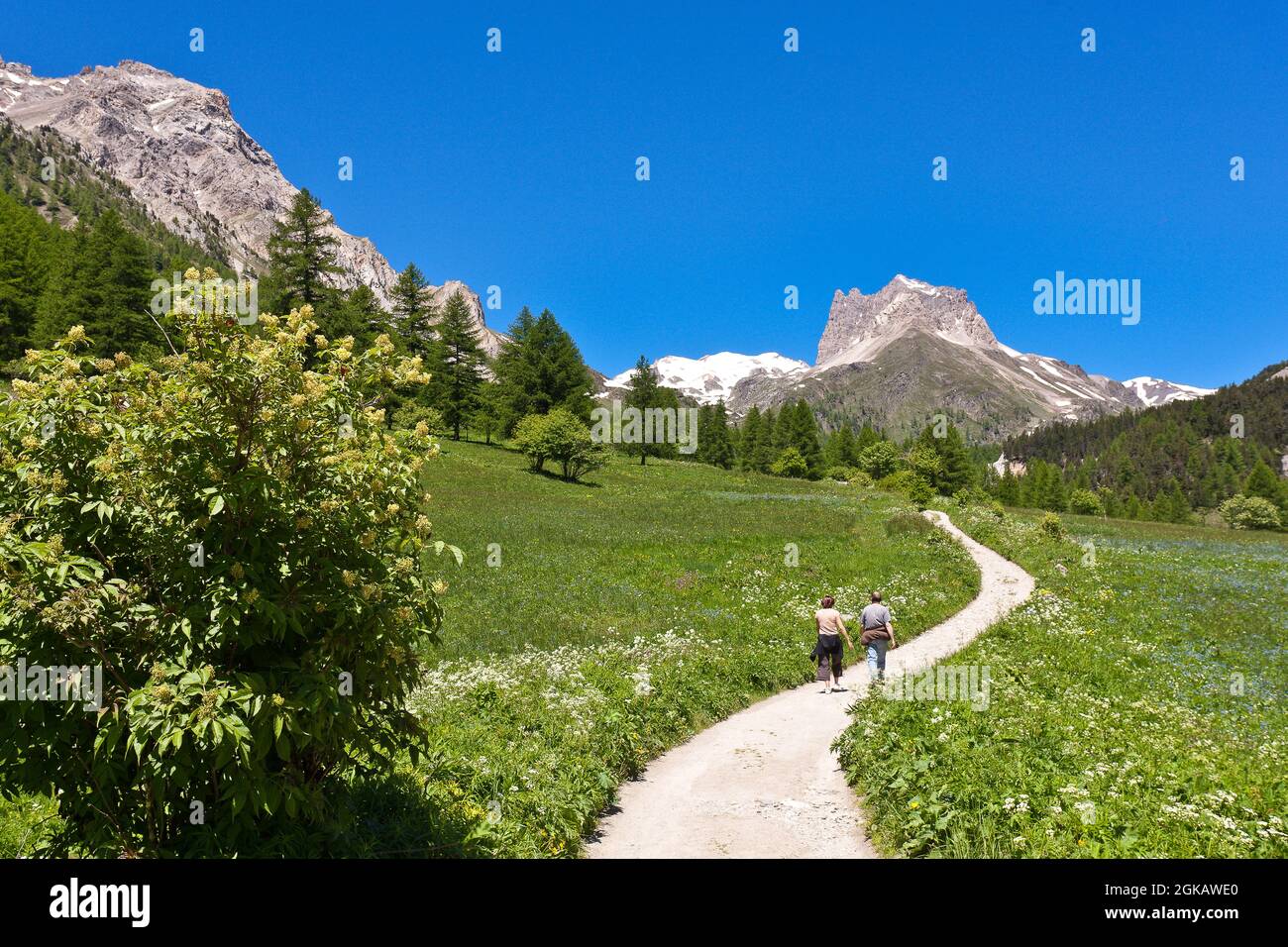 France. Hautes-Alpes (05) Nevache, Etroite Valley and the Mont Thabor ...