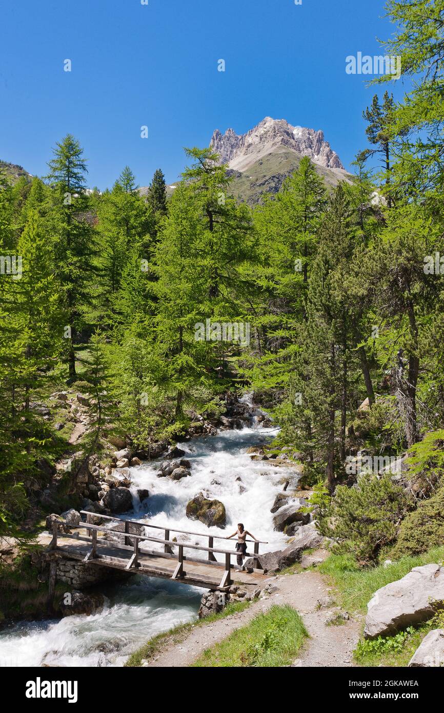 France. Hautes-Alpes (05) Nevache, Etroite Valley and the Mont Thabor ...