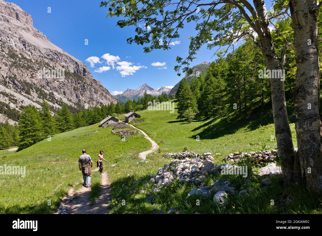 France. Hautes-Alpes (05) Nevache, Etroite Valley and the Mont Thabor ...