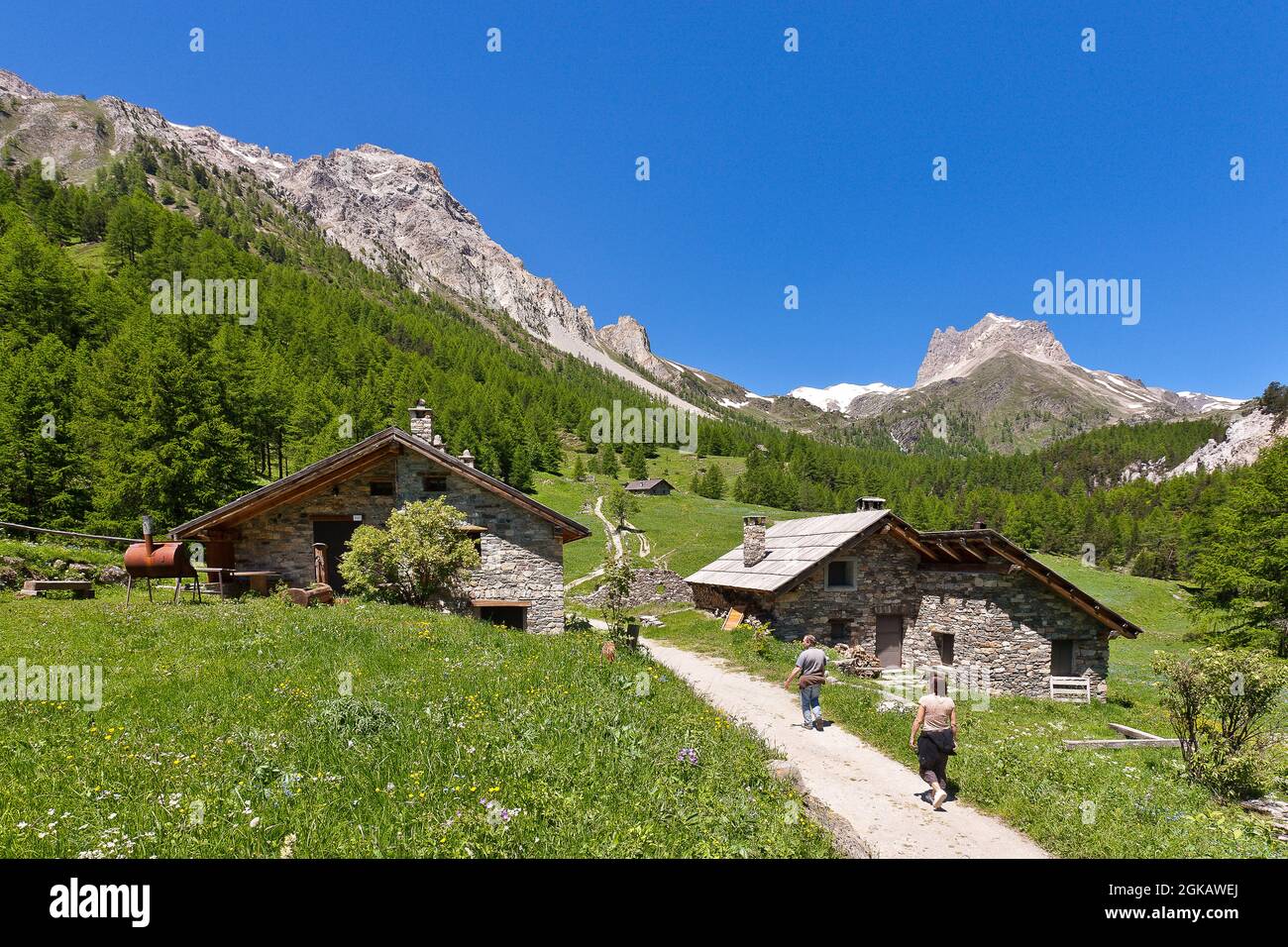 France. Hautes-Alpes (05) Nevache, Etroite Valley and the Mont Thabor ...