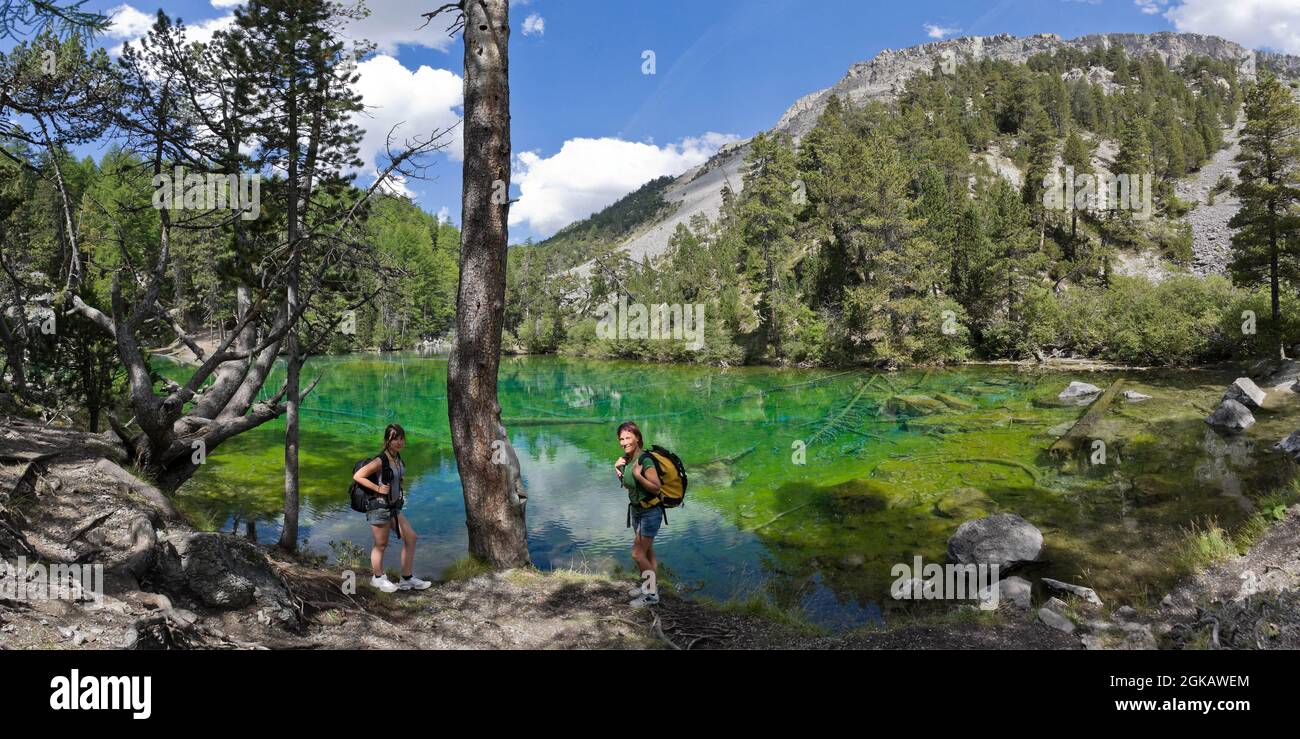 Algae Staining High Resolution Stock Photography and Images - Alamy