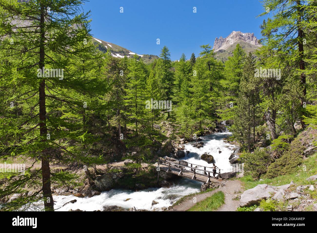Hautes-Alpes, 05, Névache, Etroite Valley and the Mont Thabor, The ...