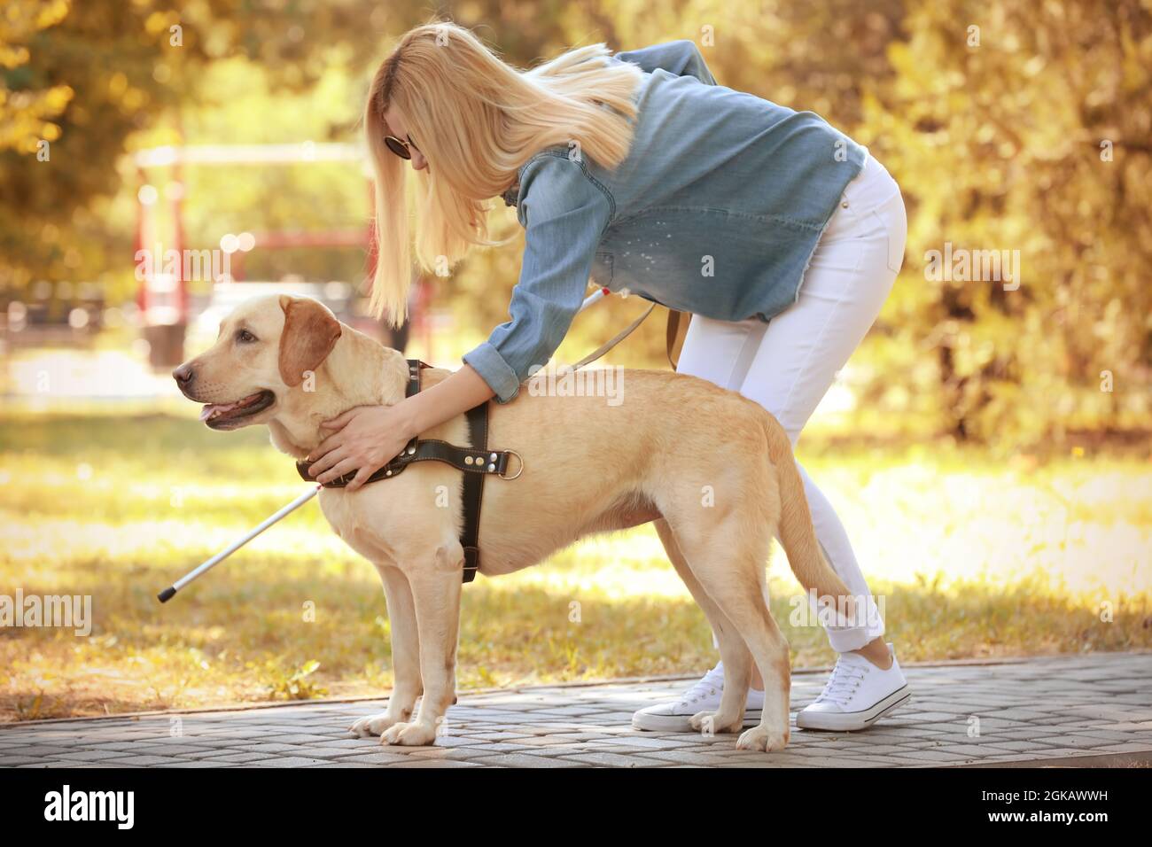 Dog helping blind hi-res stock photography and images - Alamy