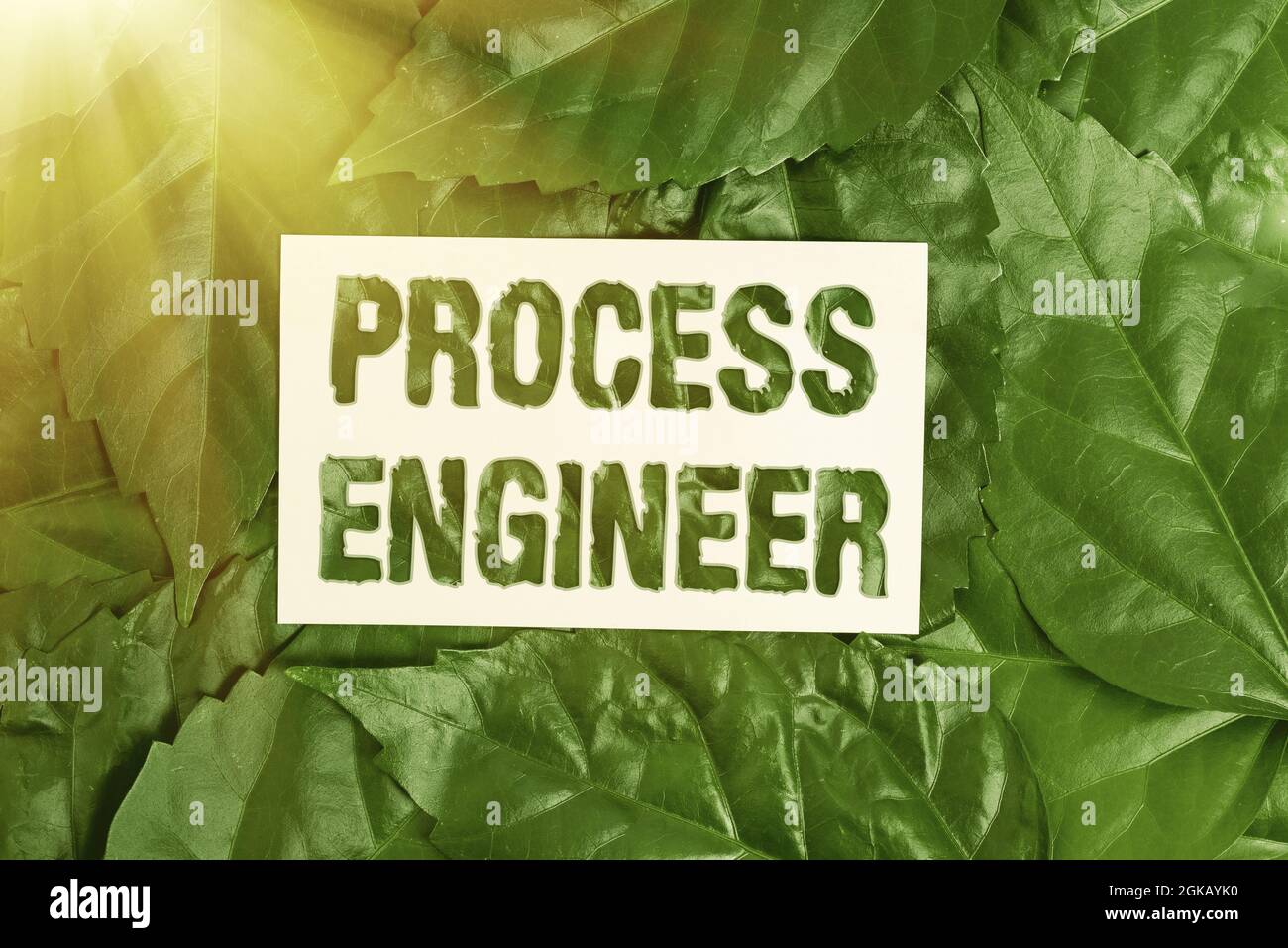 Inspiration showing sign Process Engineer. Business concept responsible ...