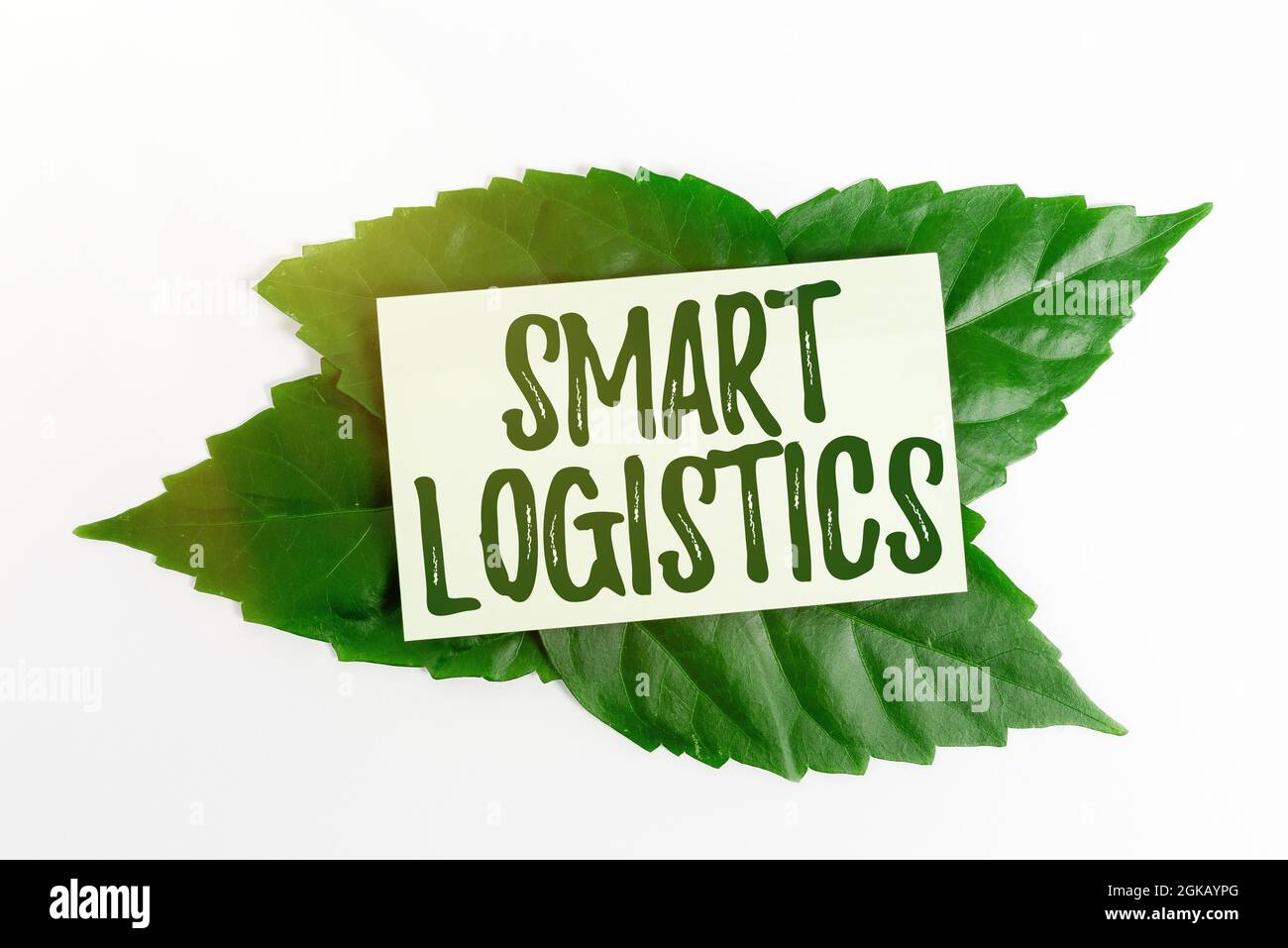 Conceptual display Smart Logistics. Word for integration of intelligent ...
