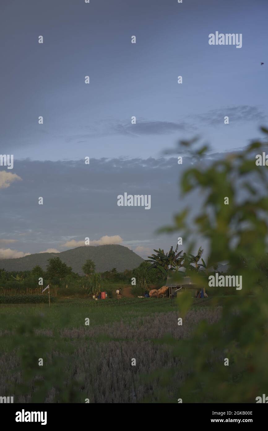 Evening silence hi-res stock photography and images - Alamy