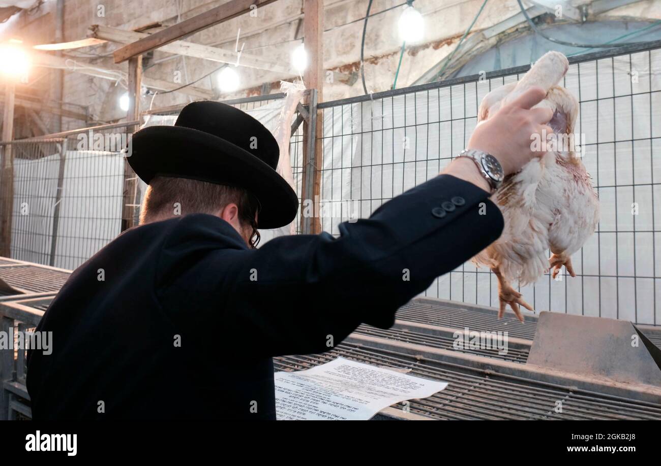An ultra-Orthodox Jew man swings a chicken over his head as he performs ...