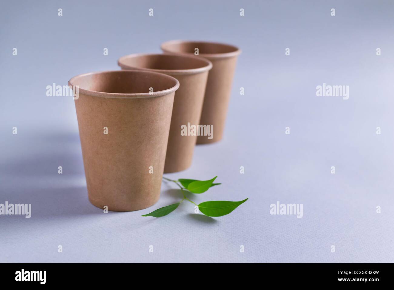 Three paper cups stand with a green twig on a gray background. Eco ...