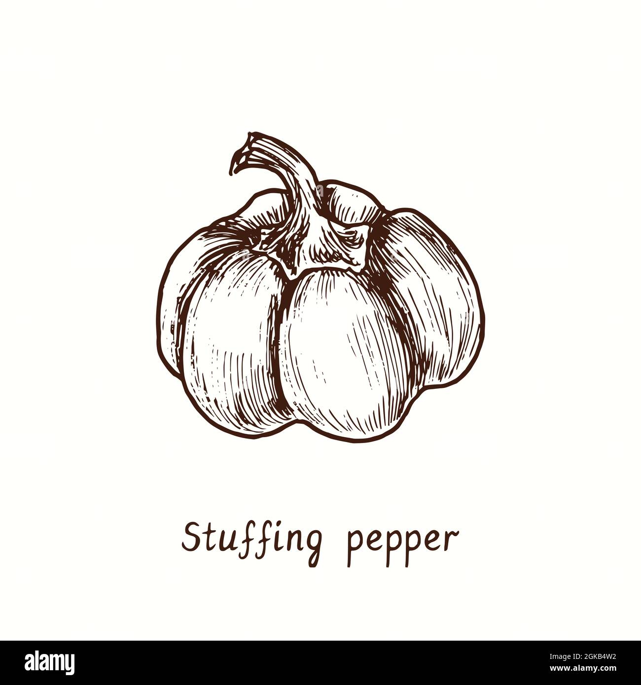 Stuffing pepper. Ink black and white doodle drawing in woodcut style ...