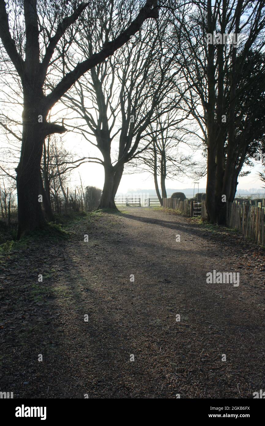 Funtington hi-res stock photography and images - Alamy