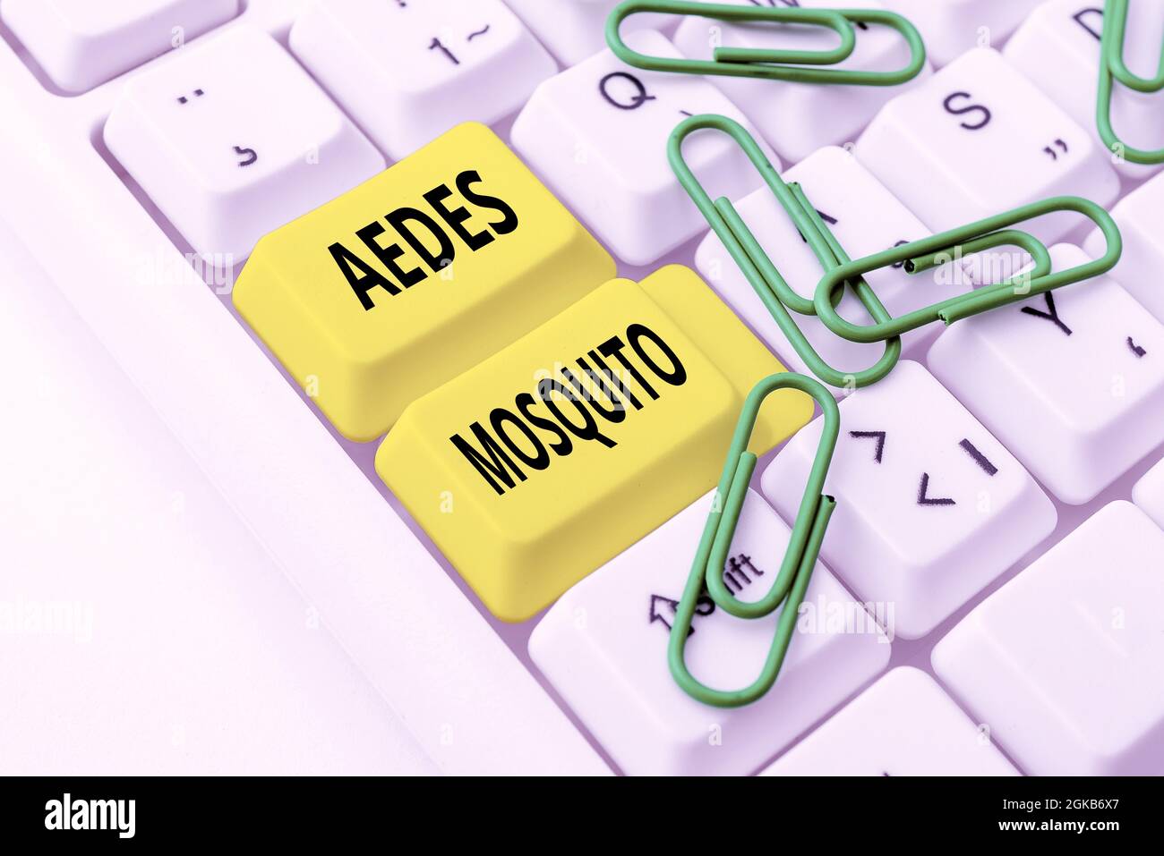 Conceptual caption Aedes Mosquito. Business concept the yellow fever ...