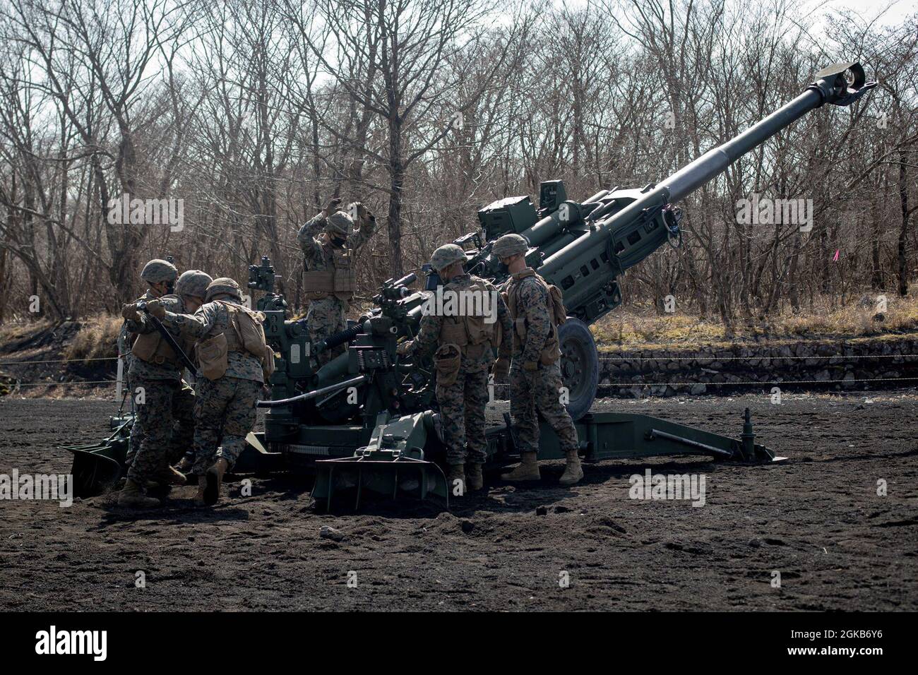 U.S. Marines with Echo Battery, Battalion landing Team 3/4, 31st Marine ...