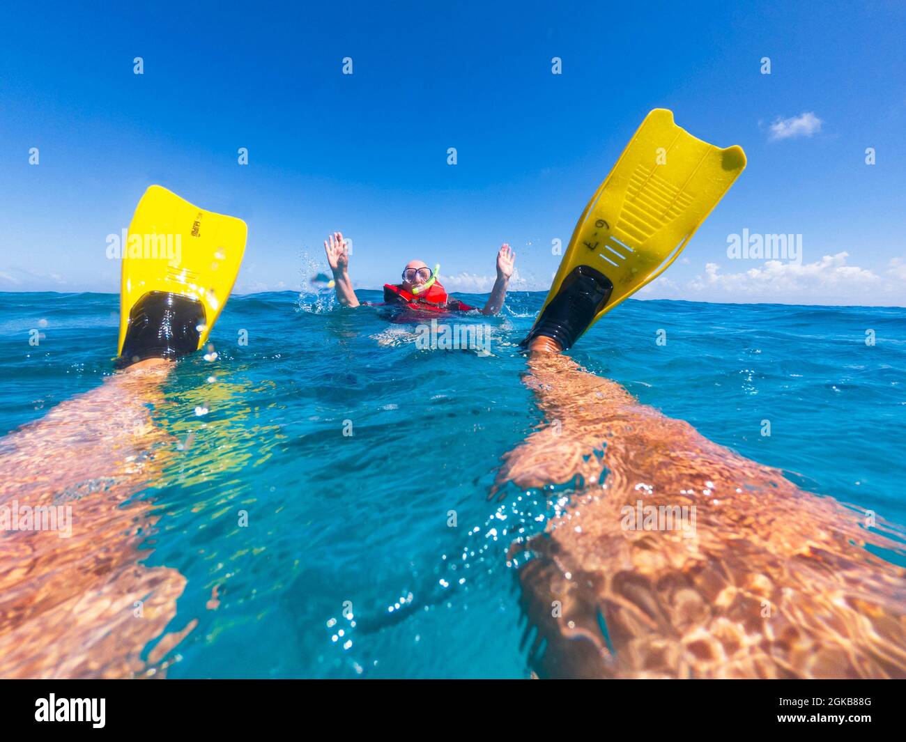 Man scuba diving at the Great Barrier Reef, Queensland, QLD, Australia ...