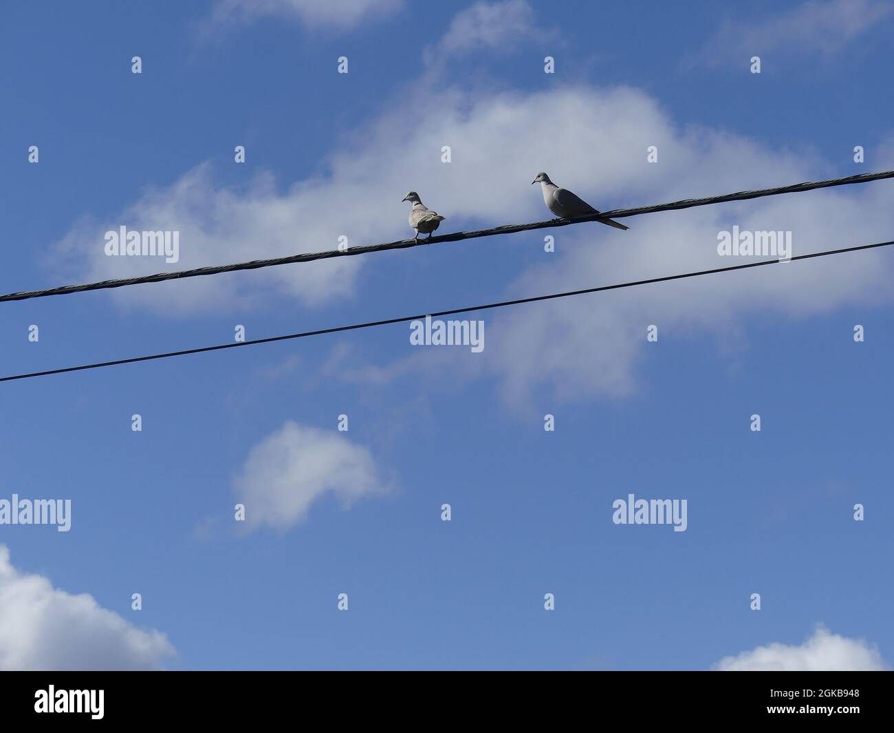 Cloud dove hi-res stock photography and images - Alamy